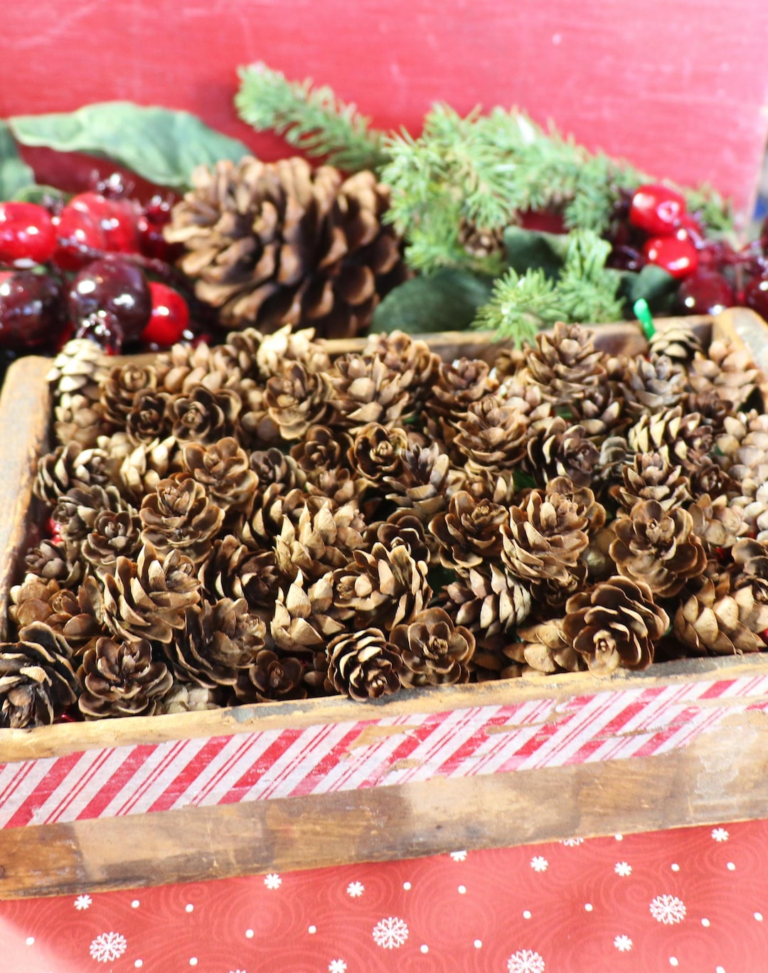 10 Miniature Pinecones for Crafts - Etsy