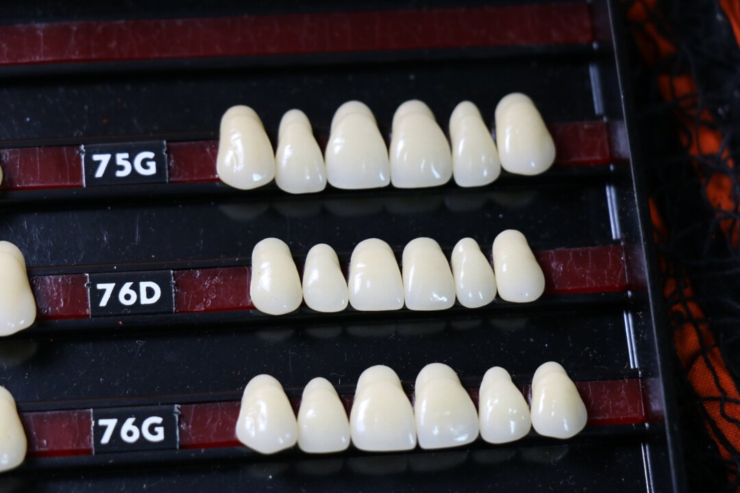 6 Unused Vintage Creepy False Teeth - Etsy