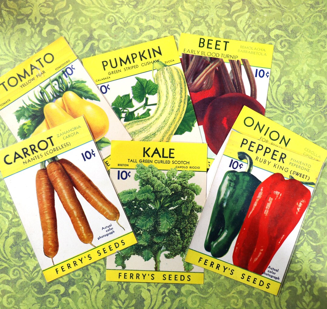 1 Vintage Vegetable Seed Packet Label Sticker - Etsy