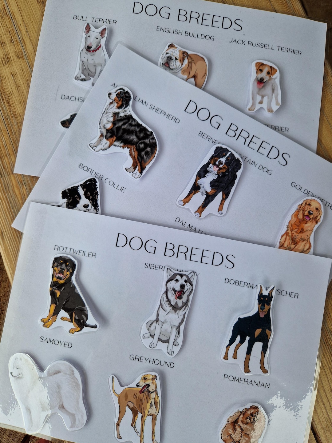 Guess the Dog Breed Game | Printable Quiz for Kids | Fun Learning ...