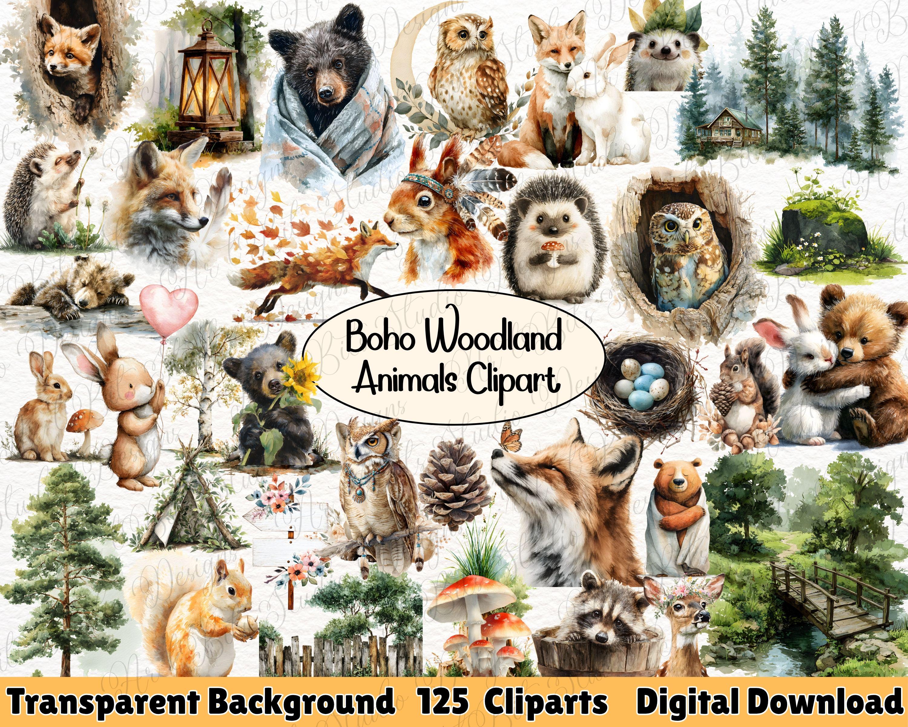 Boho Woodland Animals Clipart; Forest Animals PNG, Watercolor Nursery ...