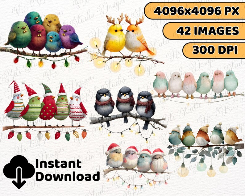 Whimsical Christmas Birds Clipart: Funny Watercolor PNG (digital ...