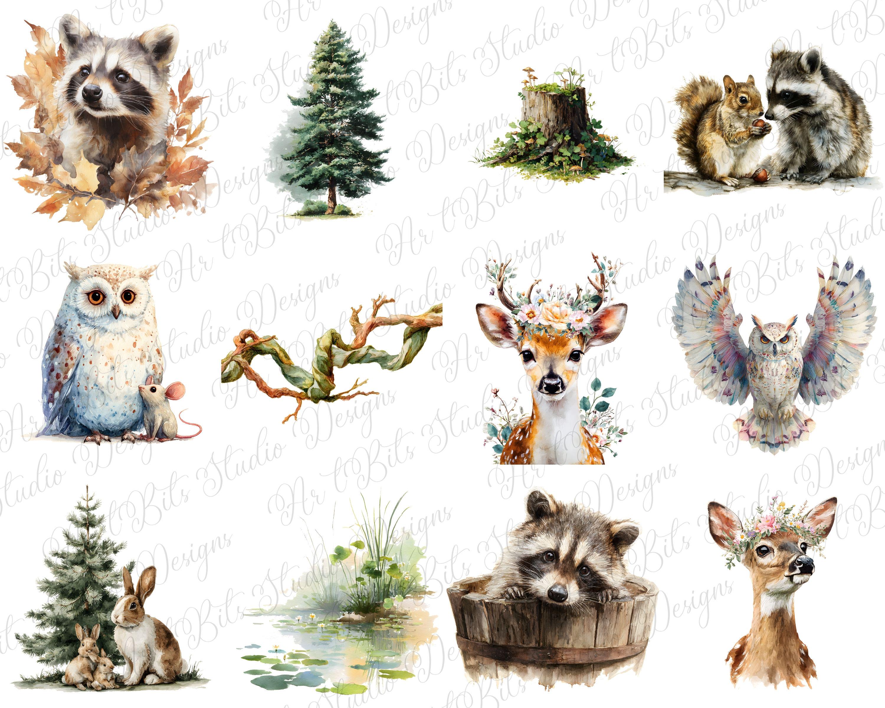 Boho Woodland Animals Clipart; Forest Animals PNG, Watercolor Nursery ...