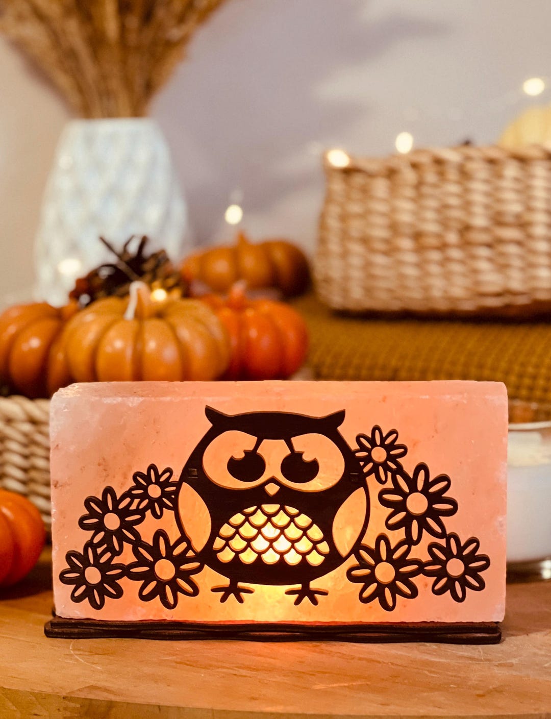 Himalayan Salt Night Light Owl - Etsy