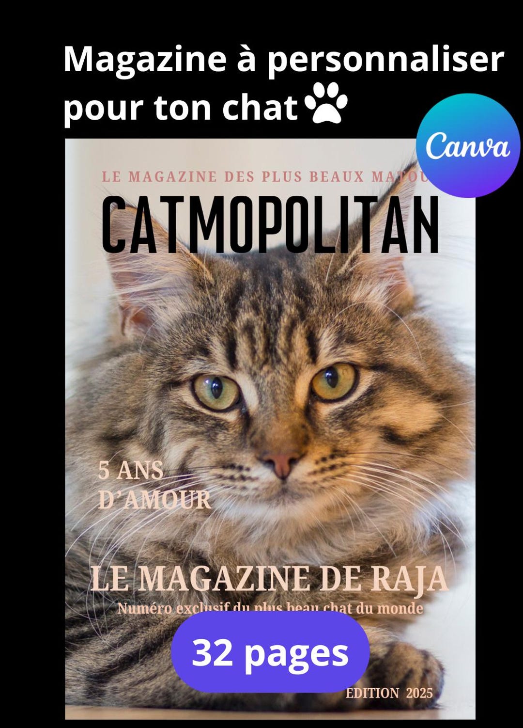 Personalized Magazine for Your Cat - 32 Pages - Etsy