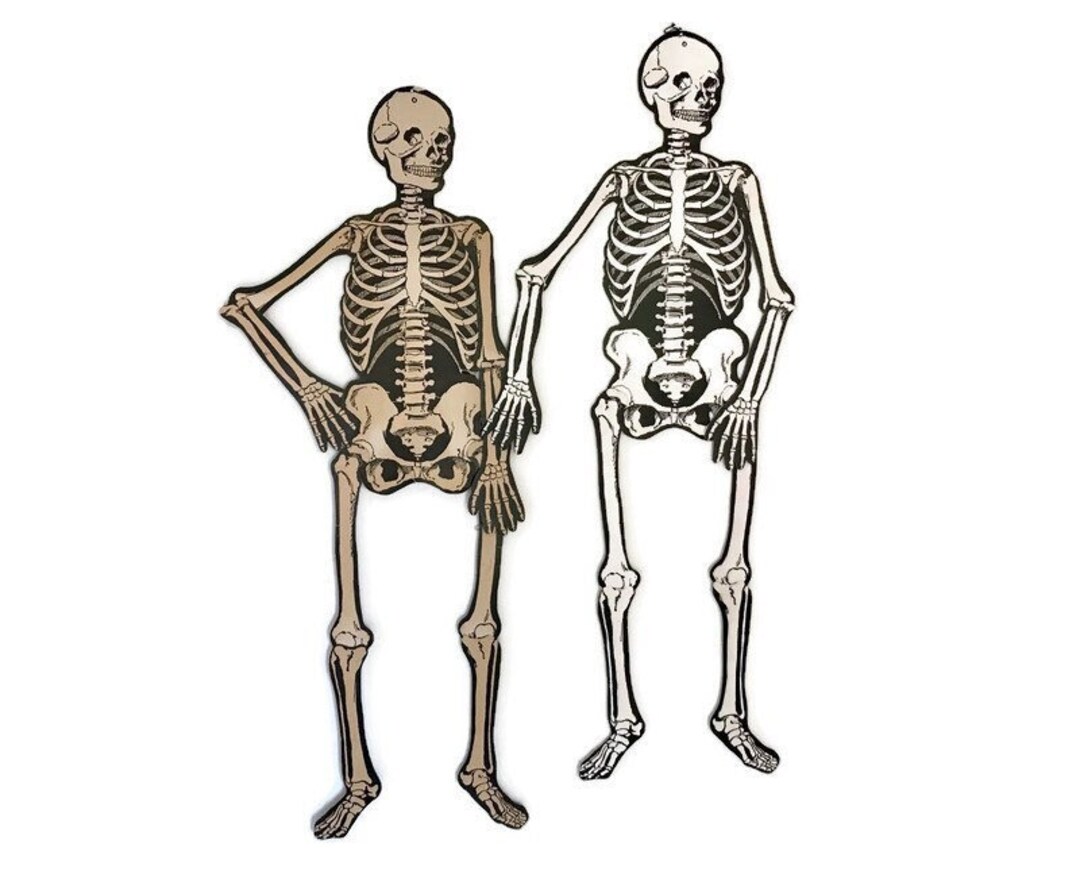 Vintage Beistle Skeleton, 1 Left, Life Size, 55 Inch Jointed, Extra ...