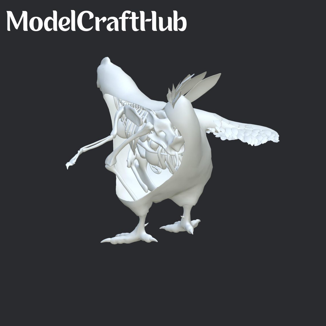 3D Chicken Anatomy Model - Realistic and Informative Science Learning ...