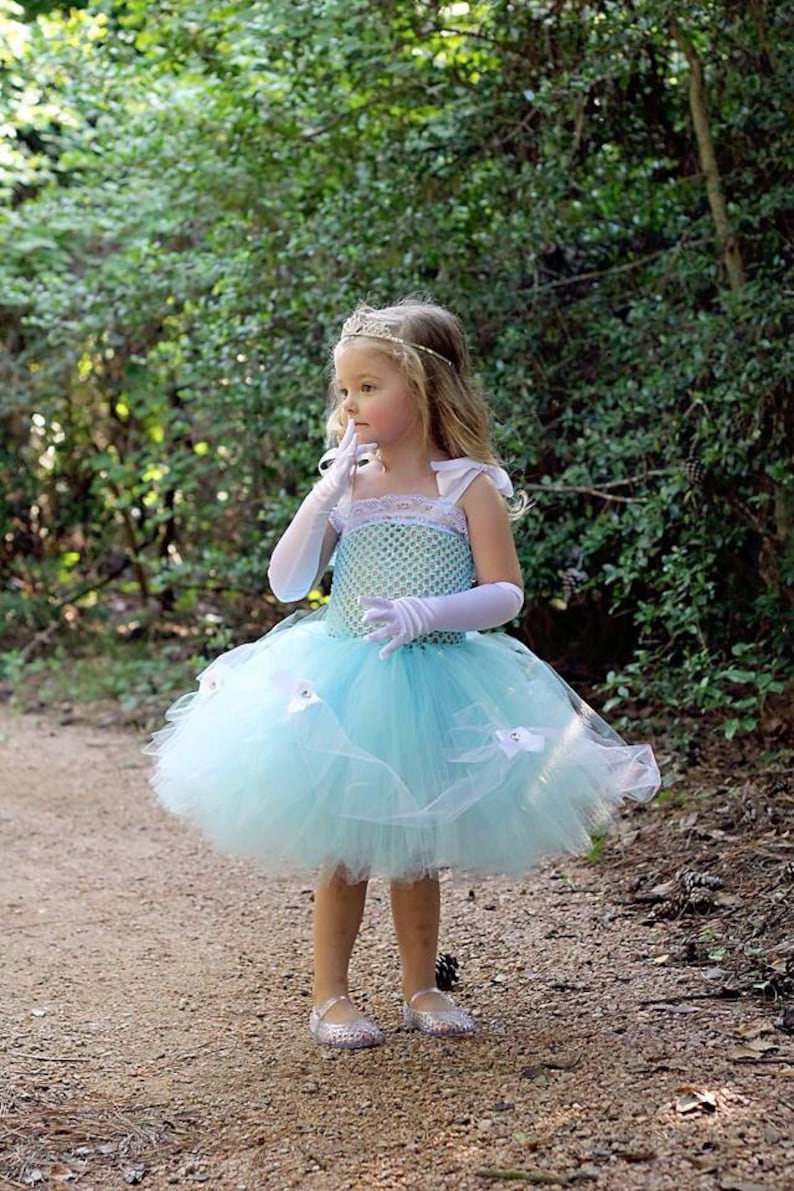 Cinderella inspired tutu dress Disney inspired costumes | Etsy