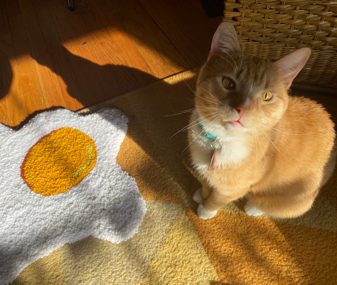 Custom Egg Rug - Etsy