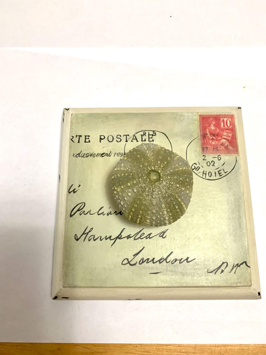 Wall Mount Hook Peg Sarah Lugg Vtg Postage Stamp Sea Urchin Knob Urban ...