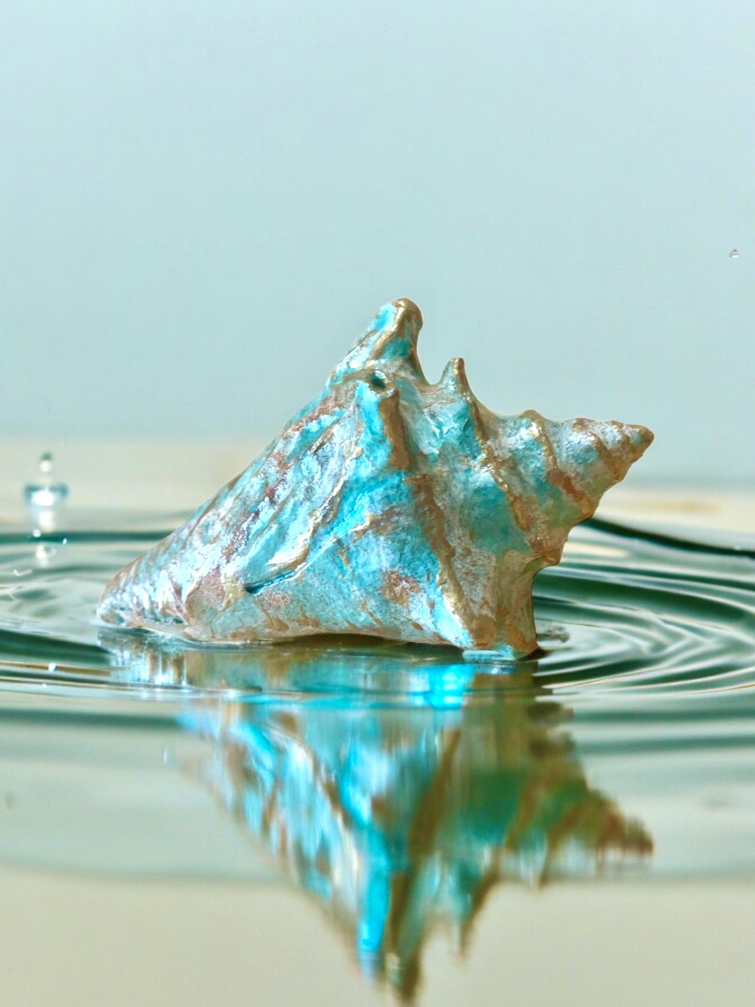 SEASHELL GIFT Large Spiral Conch Shell Beach Cottage Display Gift ...