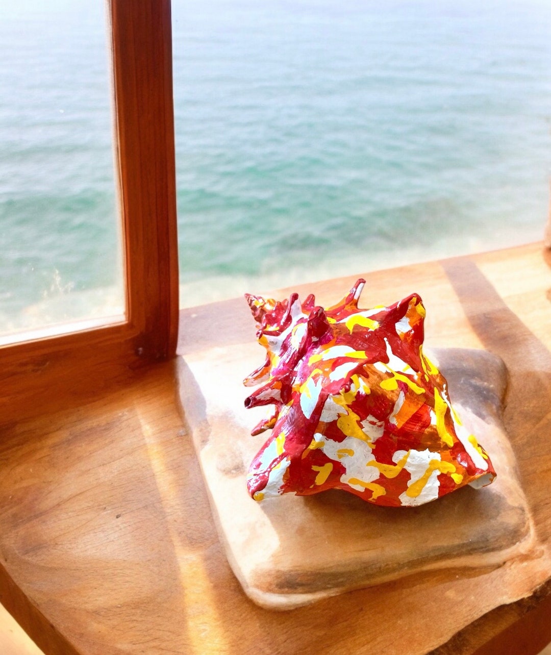 SEASHELL GIFT Large Spiral Conch Shell Beach Cottage Display Gift ...