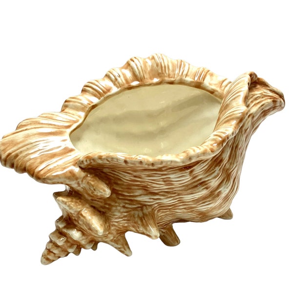 Conch Shell Planter - Etsy