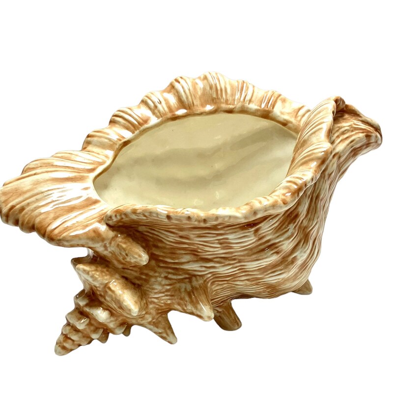 Conch Shell Planter - Etsy