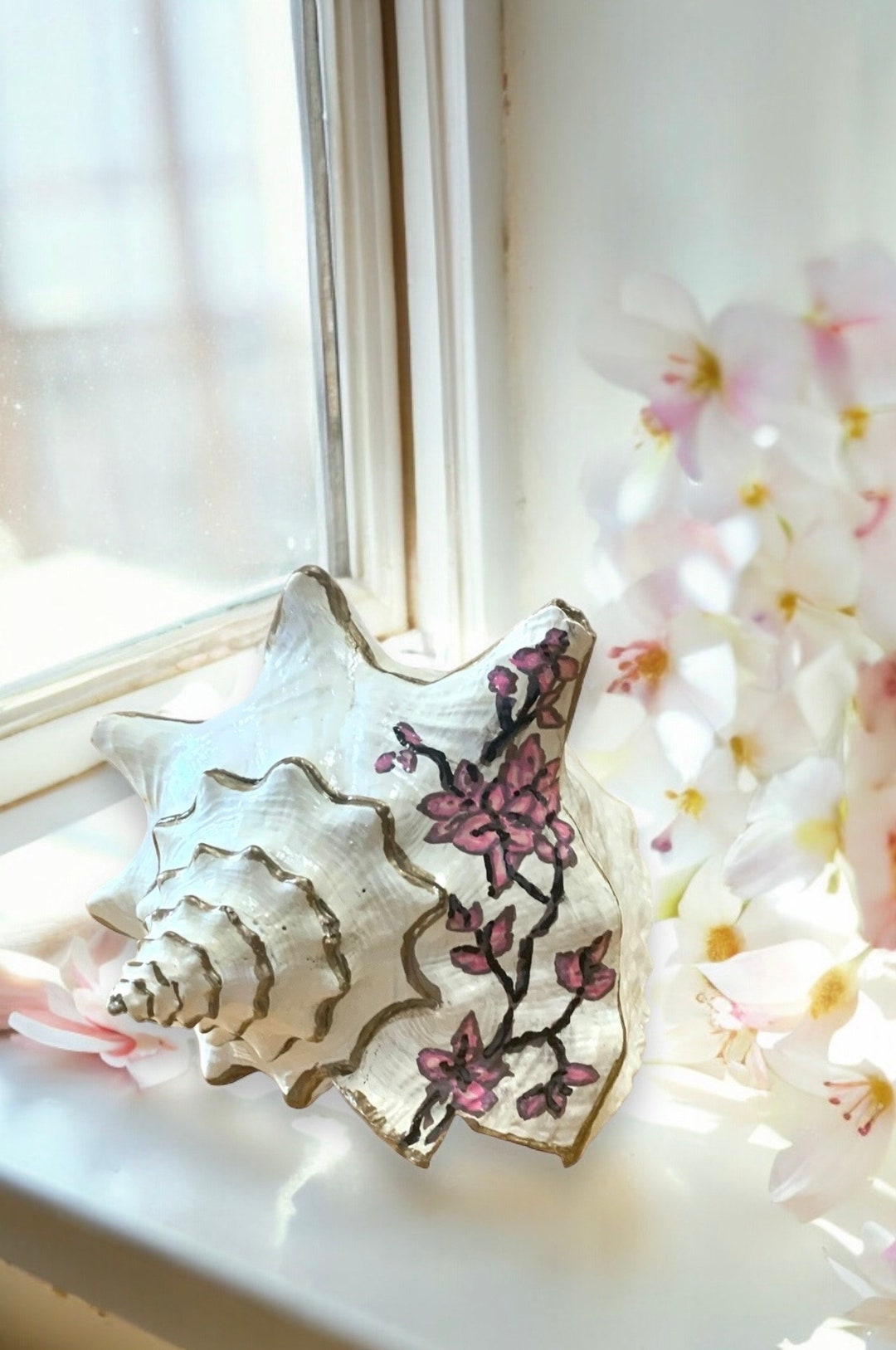 SEASHELL GIFT Large Spiral Conch Shell Beach Cottage Display Gift ...