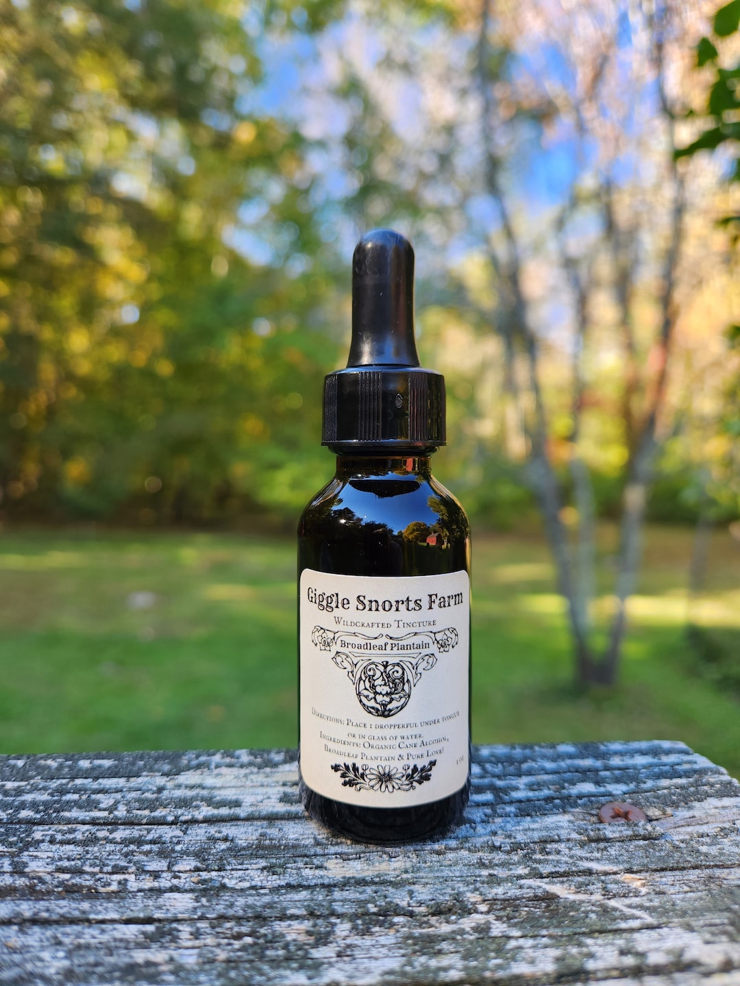Organic Broadleaf Plantain Tincture ~plantago Major~ - Etsy