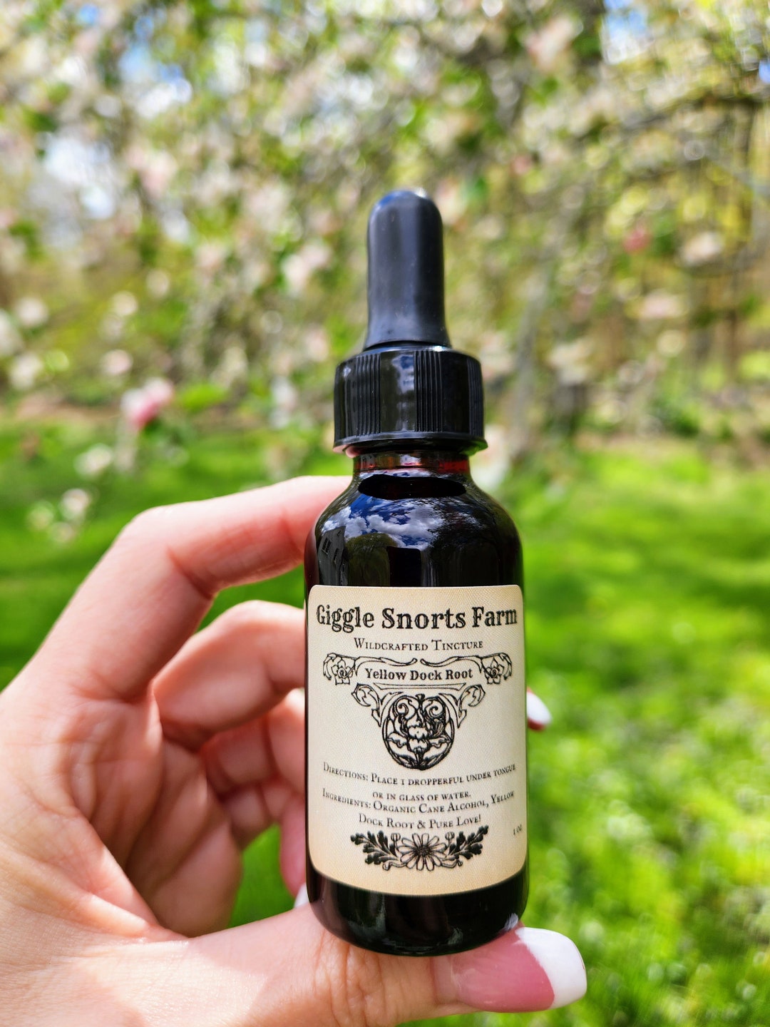 Organic Yellow Dock Root Tincture ~ Rumex Crispus - Etsy