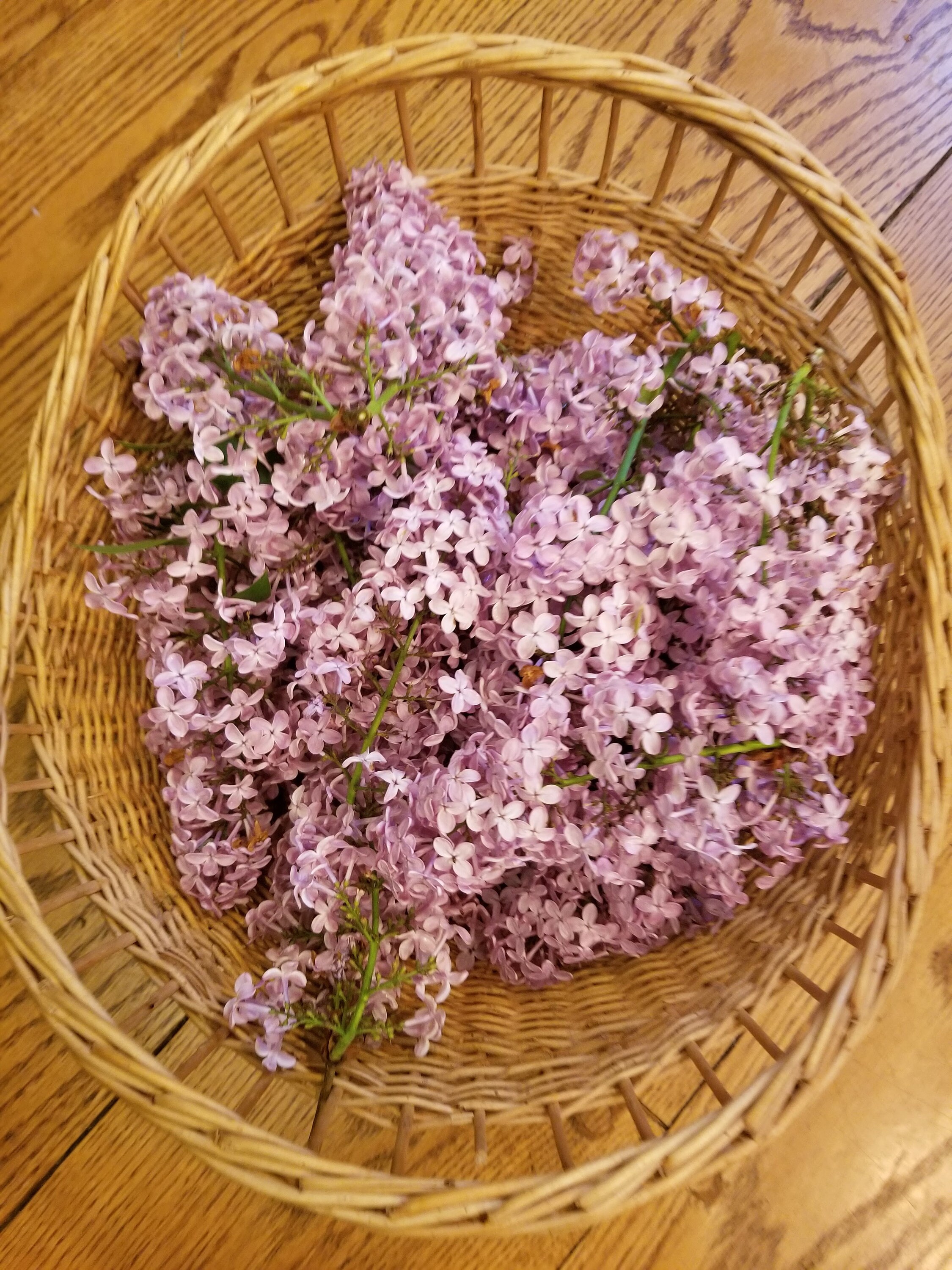 Organic Lilac Tincture ~syringa - Etsy