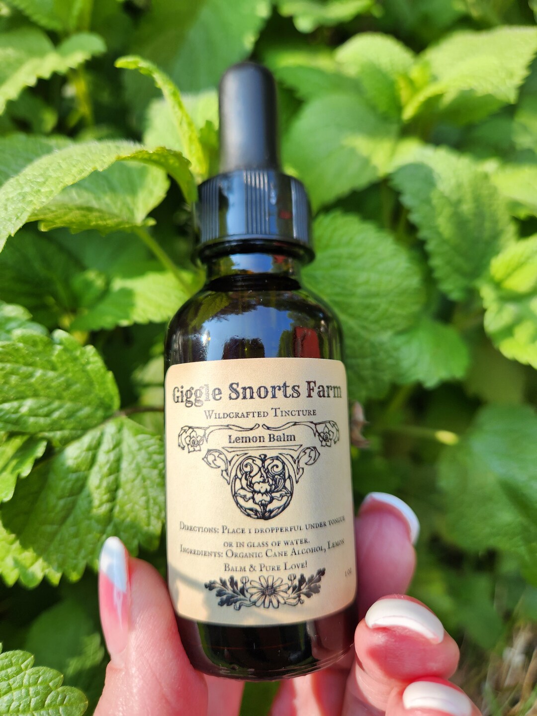 Organic Lemon Balm Tincture ~ Melissa Officinalis - Etsy