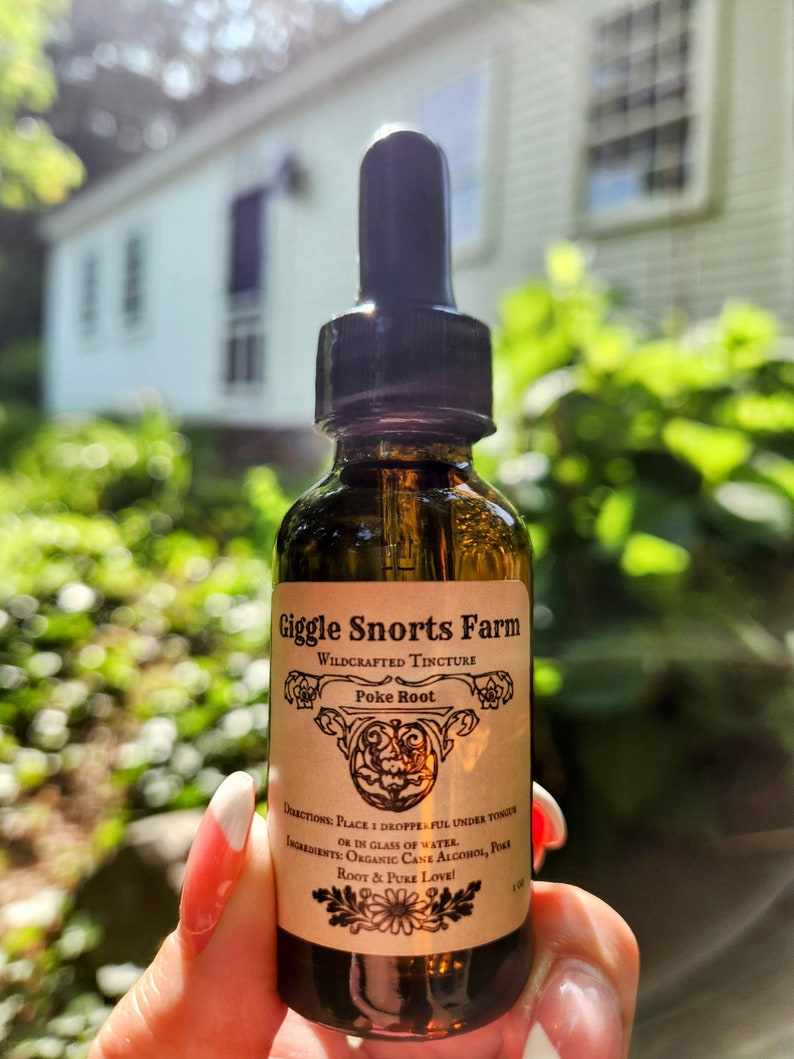 Organic Poke Root Tincture ~ Phytolacca Americana ~ - Etsy