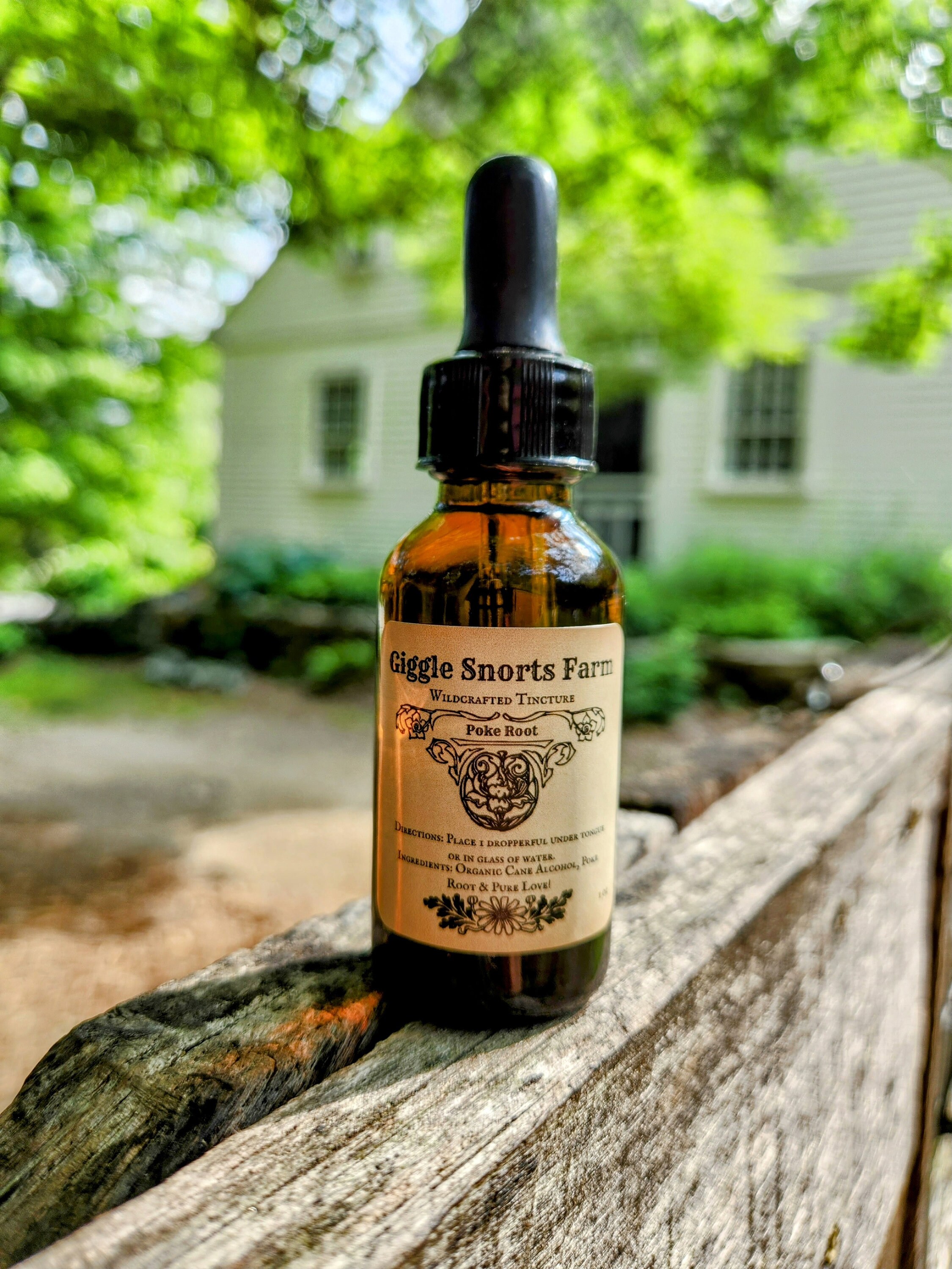 Organic Poke Root Tincture ~ Phytolacca Americana ~ - Etsy