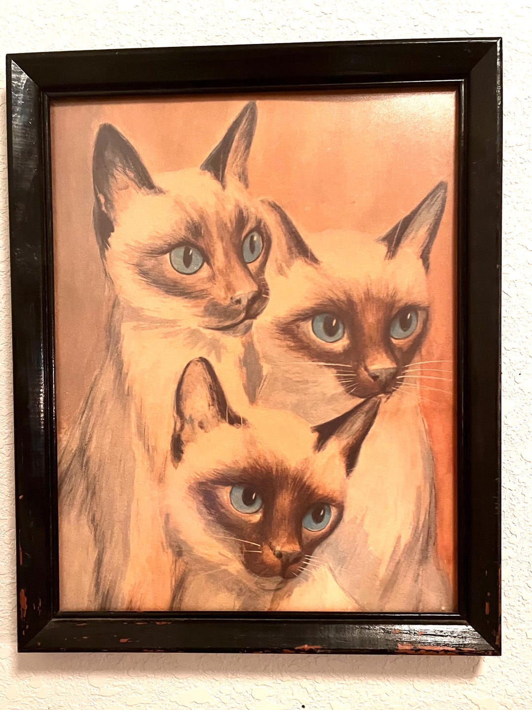 Vintage MCM Siamese Cat Lithograph, Wood Framed Art Print - Etsy