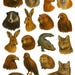 300+ Animal Clipart Bundle – Watercolor Cartoon PNG Illustrations ...