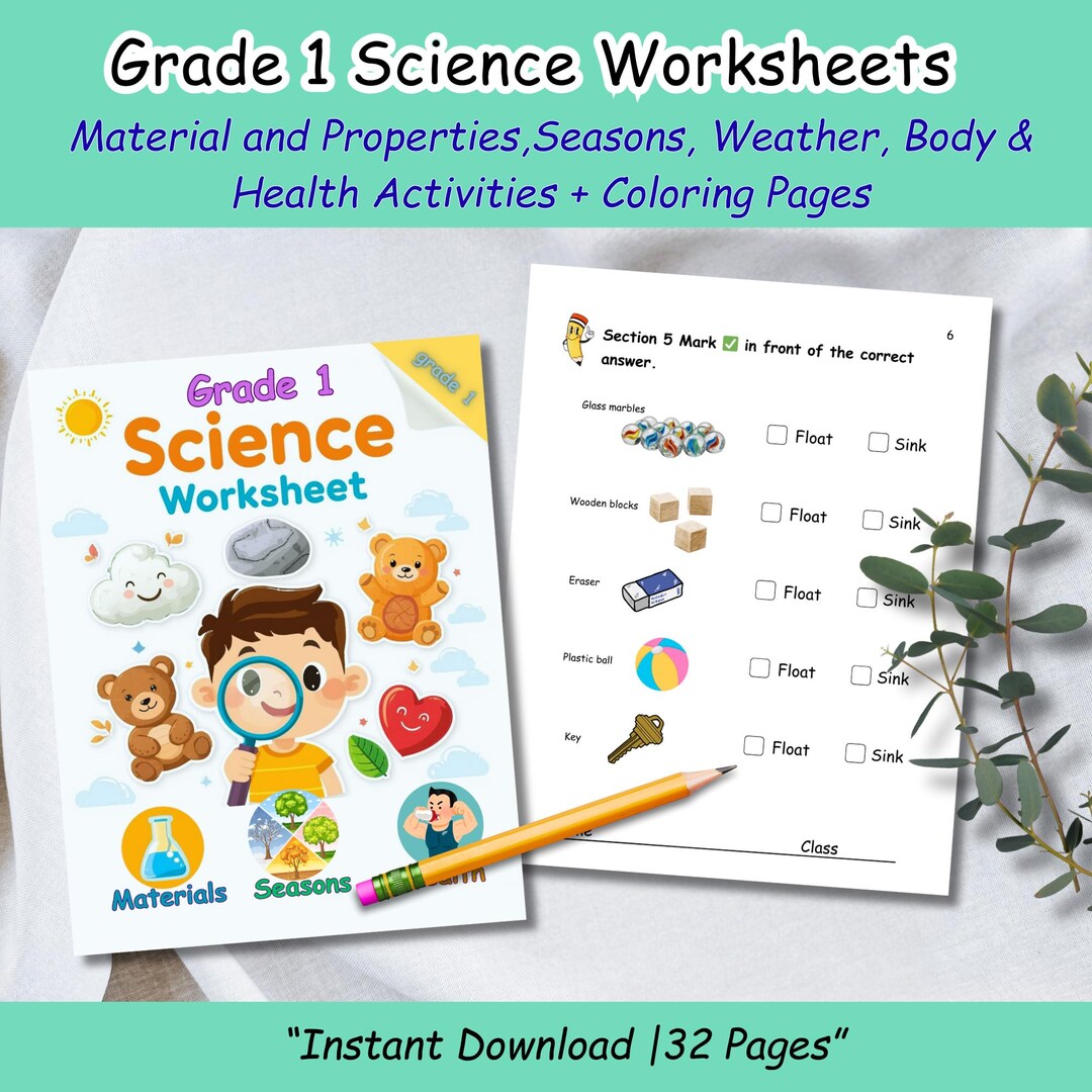Grade 1 Science Worksheets | Materials, Seasons, Body & Health ...