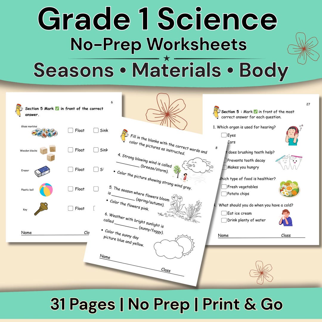 Grade 1 Science Worksheets | Seasons, Materials & Body | No Prep ...
