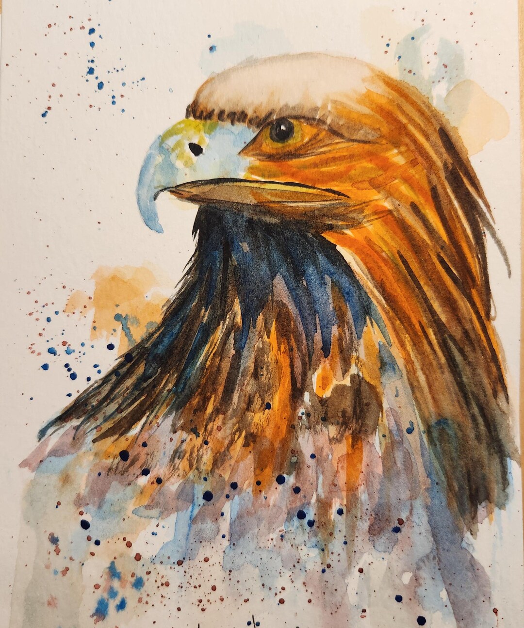 Watercolor Eagle Cards (4) - Etsy