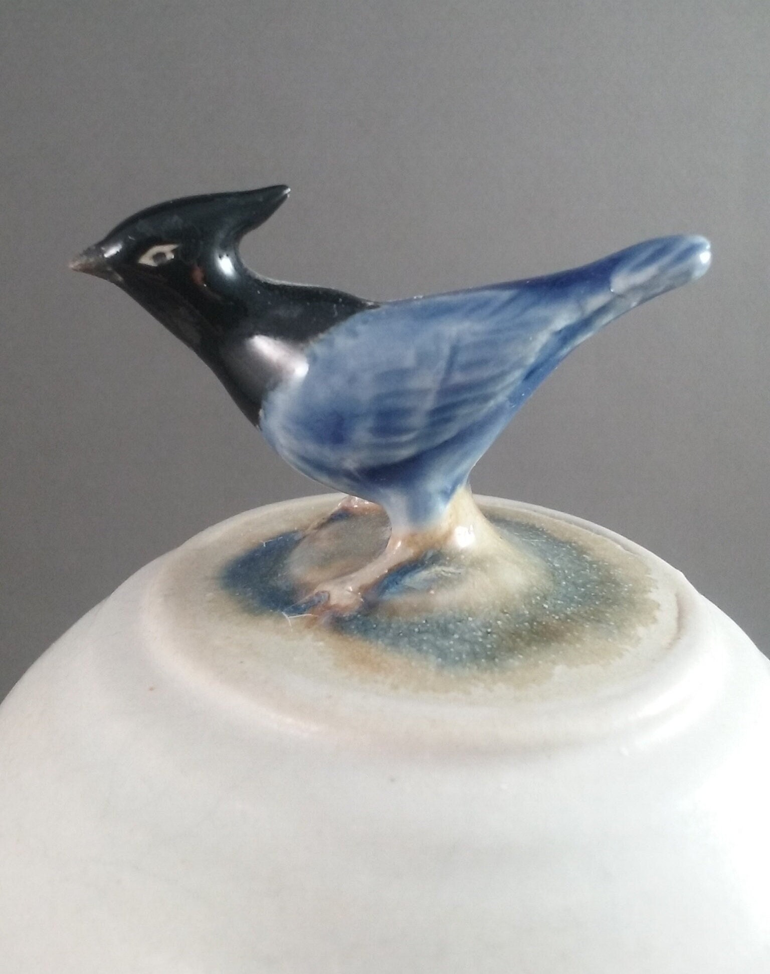 Tall Ceramic Jar With Unique Sculpted Steller's Jay blue Jay on Lid - Etsy