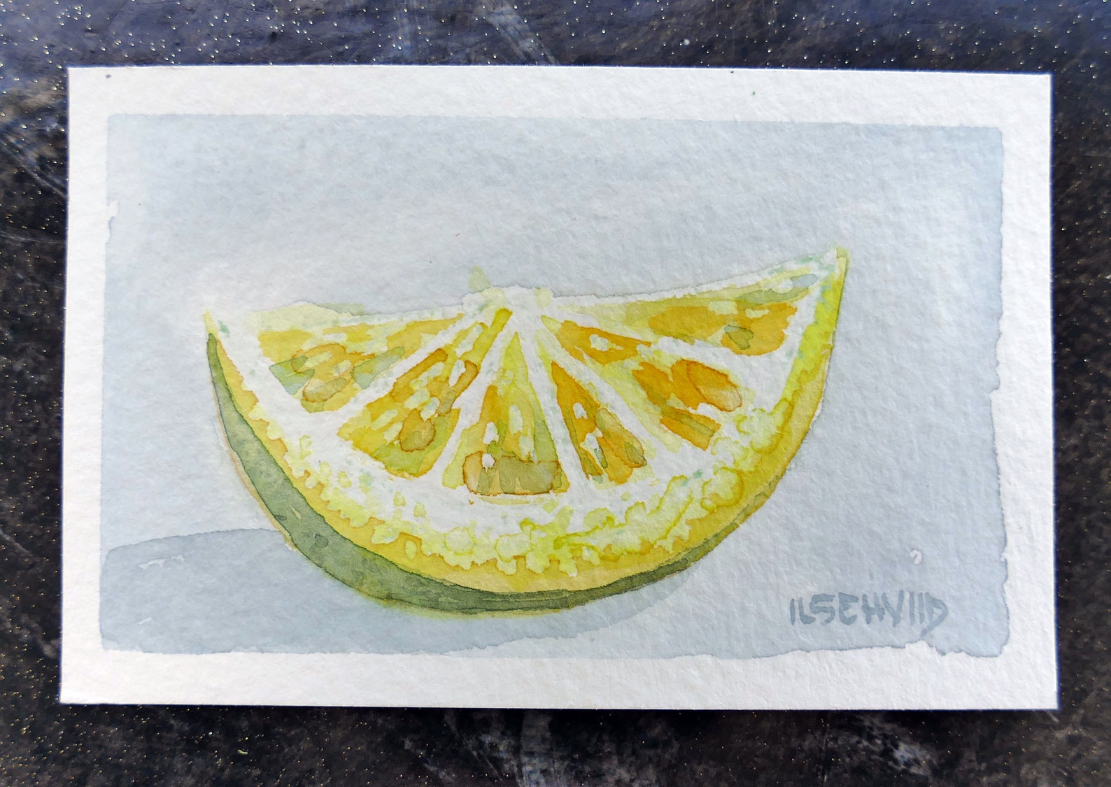 Lemon. Miniature Watercolor Painting Original by Artist Ilse - Etsy Sweden