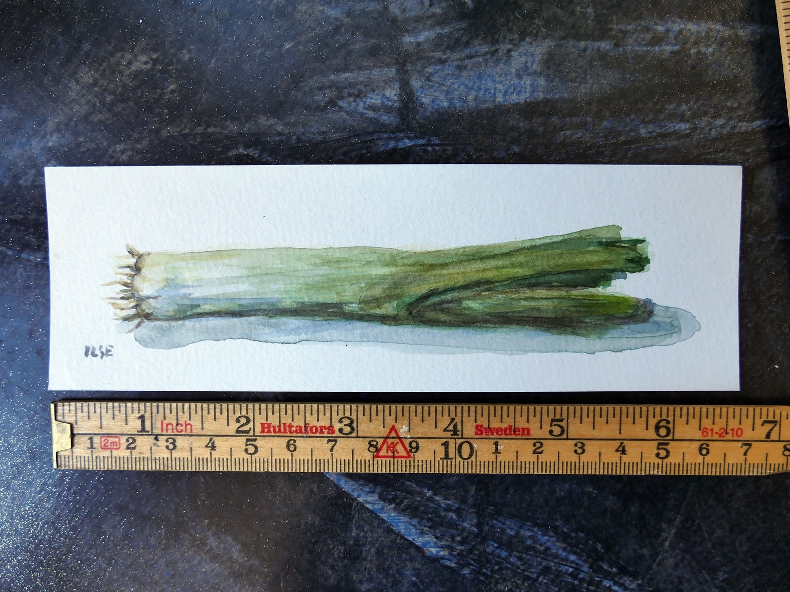 Leek Miniature Watercolor Painting Original Veggie Dolls | Etsy