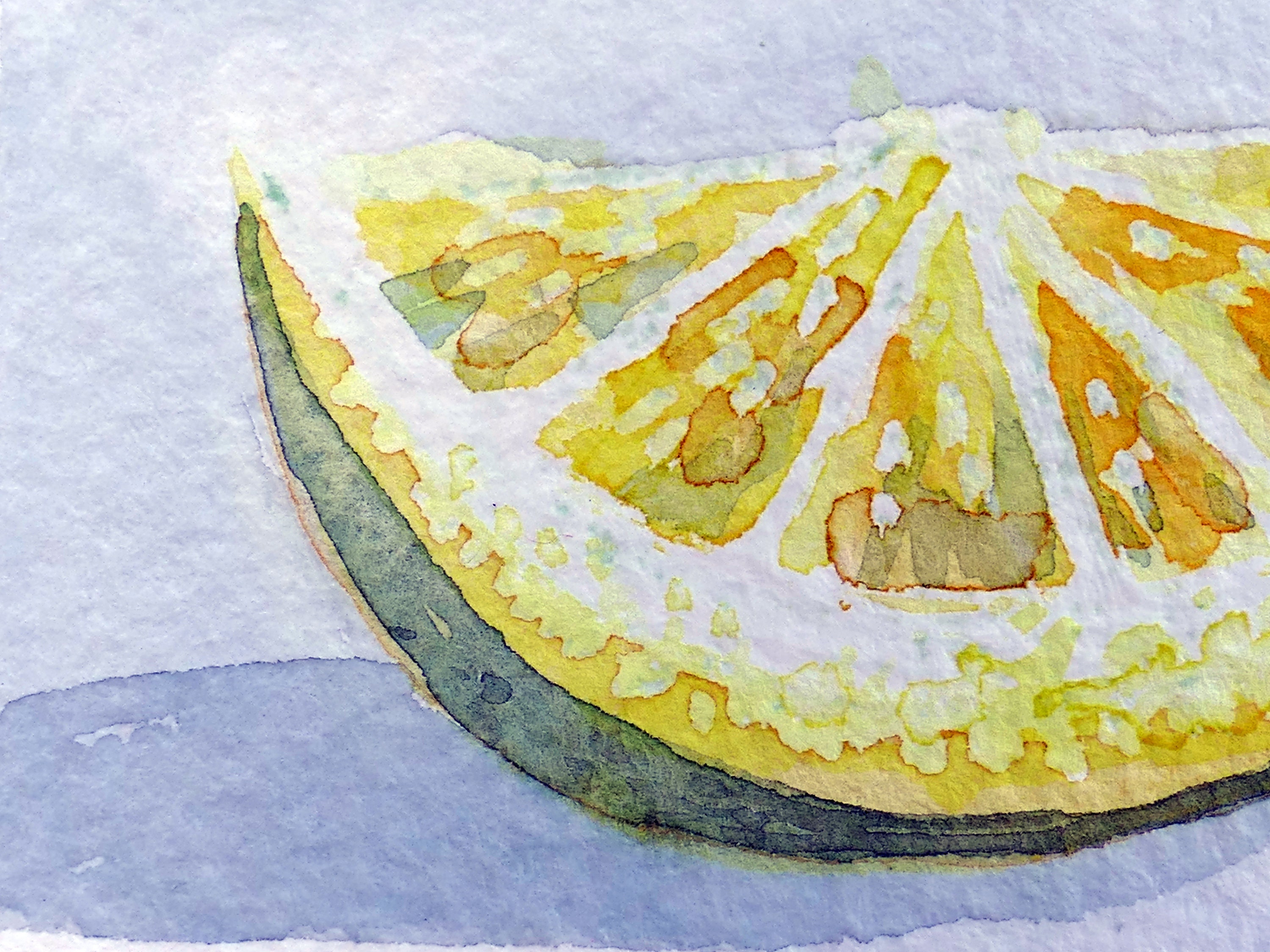 Lemon. Miniature Watercolor Painting Original by Artist Ilse - Etsy Sweden