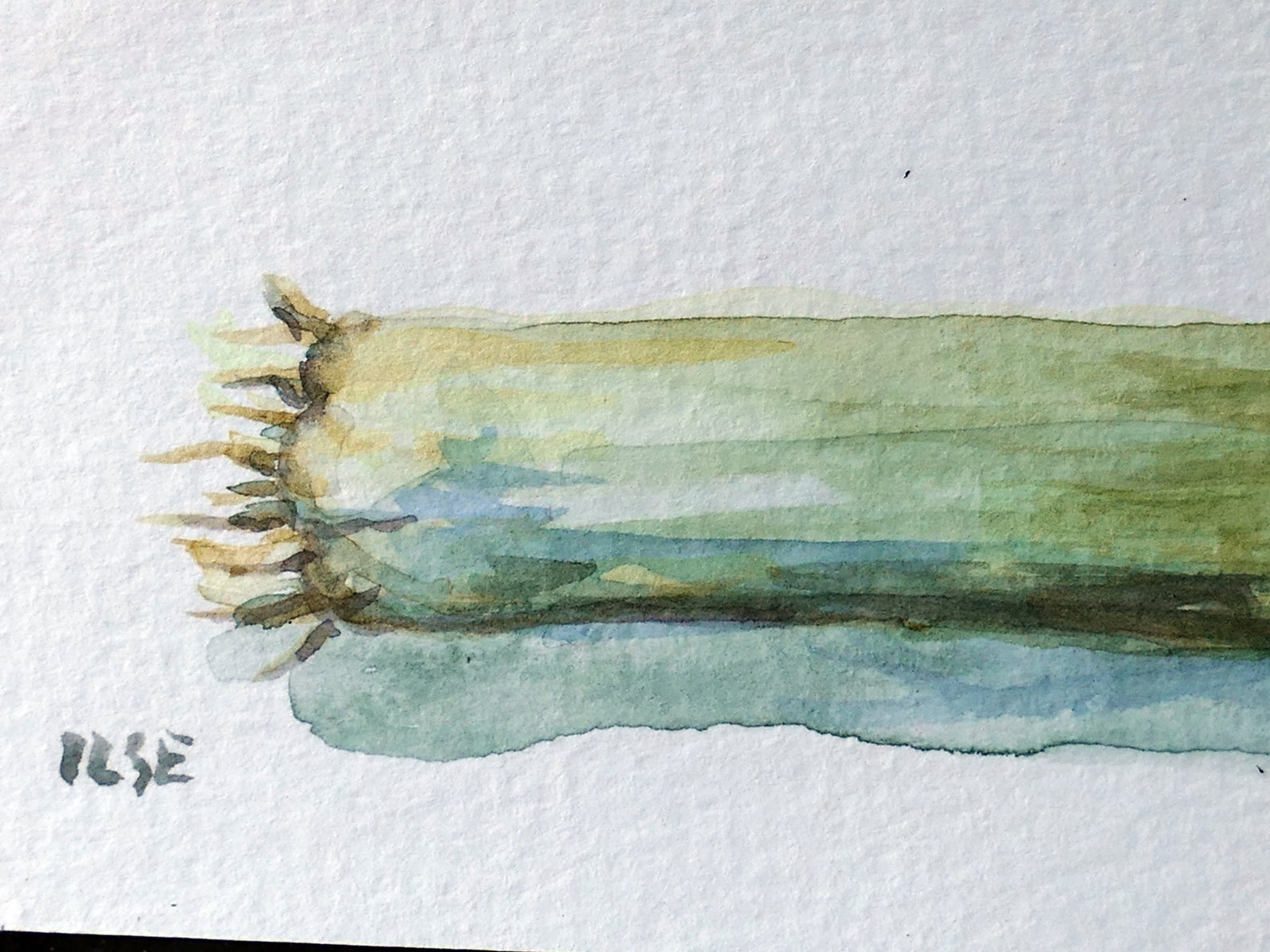 Leek Miniature Watercolor Painting Original Veggie Dolls | Etsy