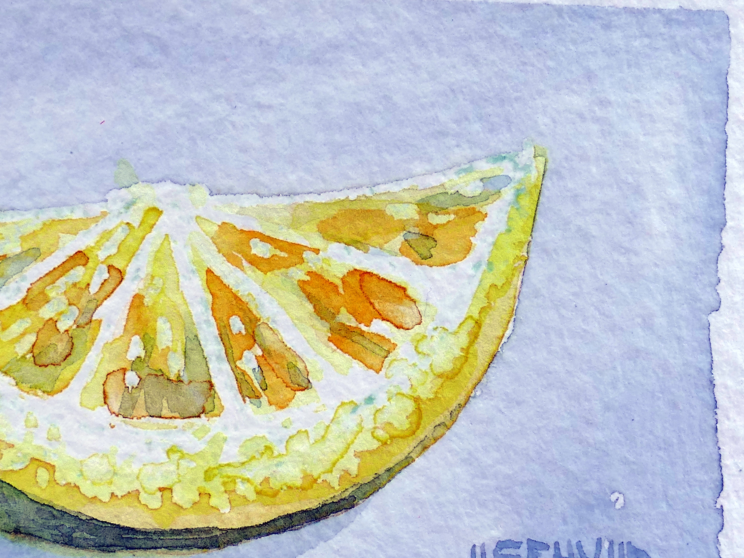 Lemon. Miniature Watercolor Painting Original by Artist Ilse - Etsy Sweden