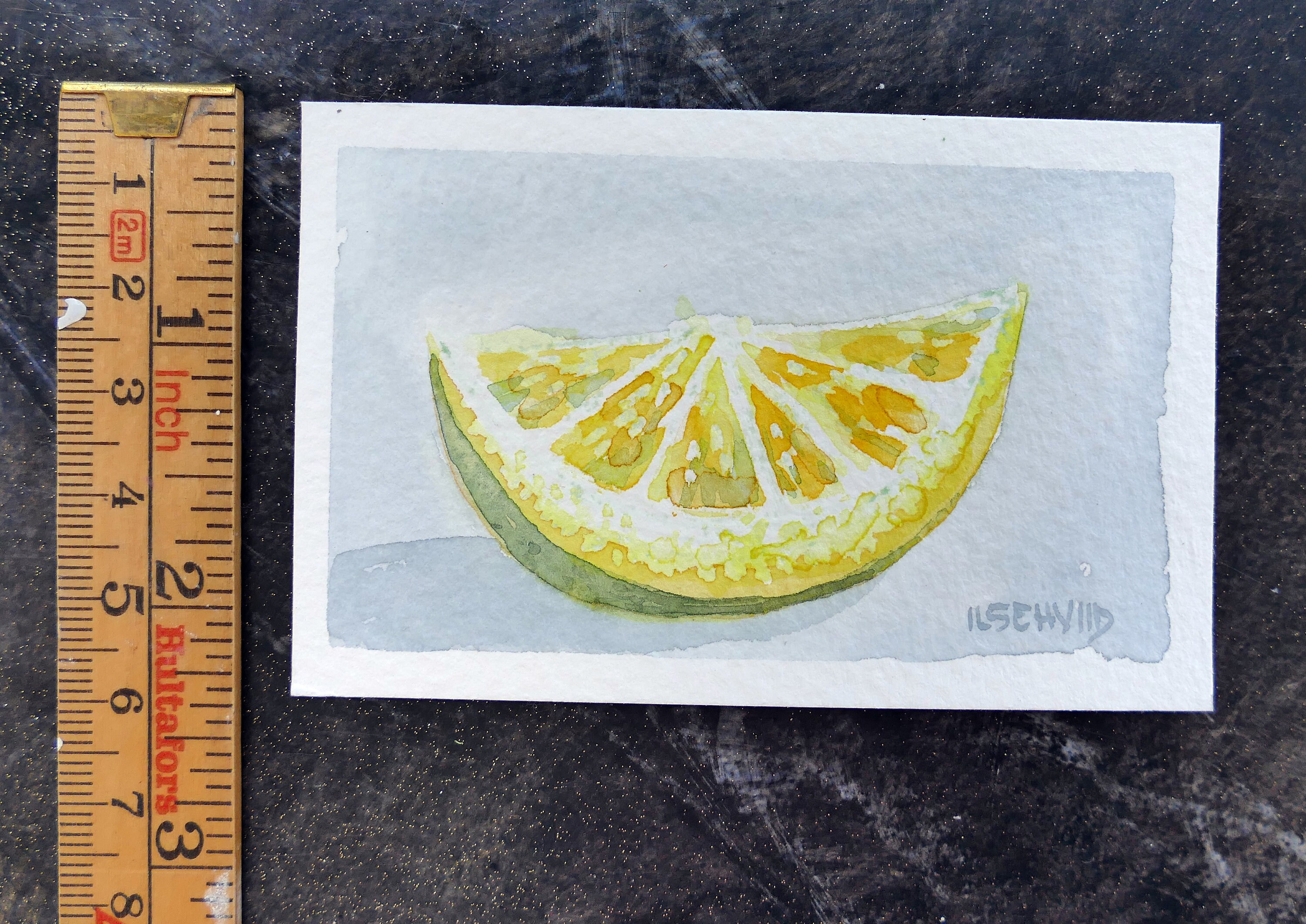Lemon. Miniature Watercolor Painting Original by Artist Ilse - Etsy Sweden