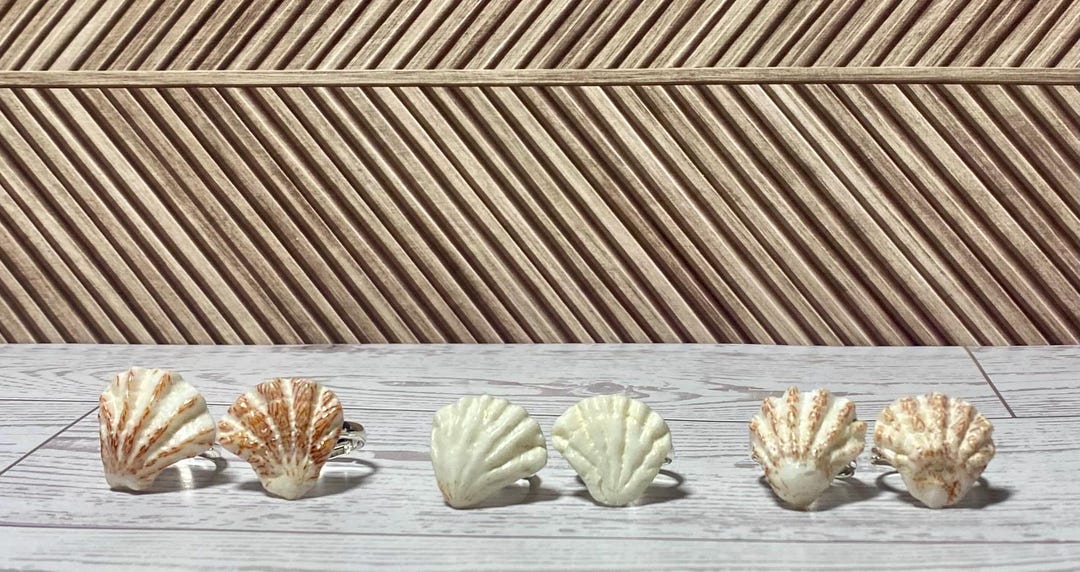 Matching Kitten Paw Shell Rings, Hand Picked Real Shells, Friend ...