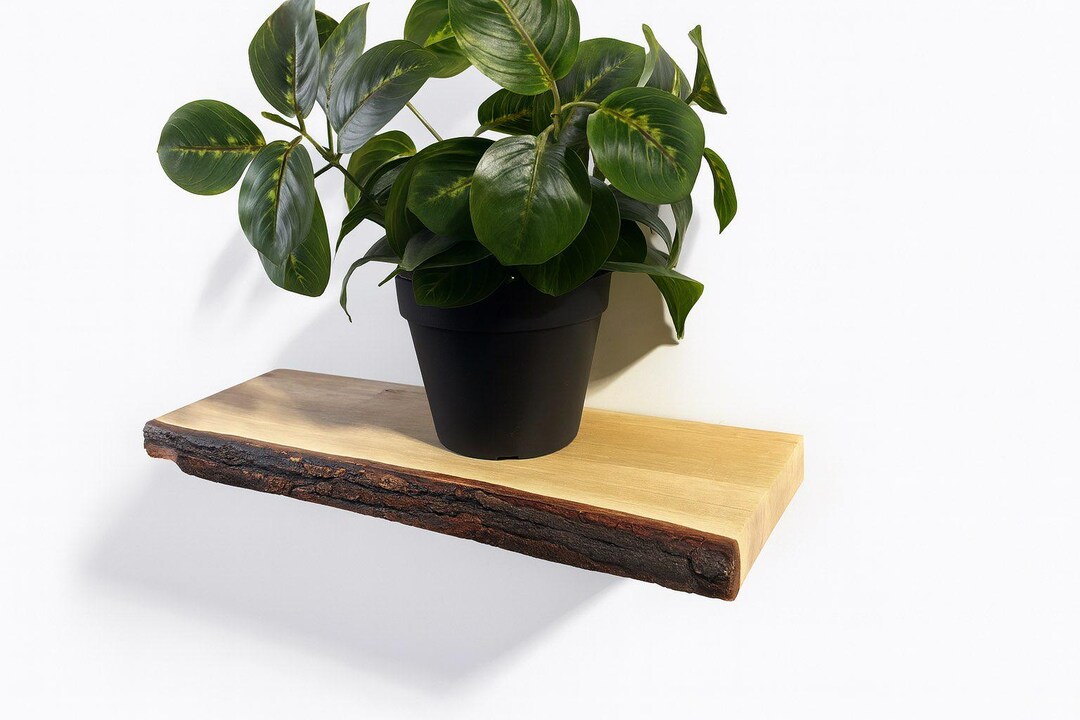 Maple Bark-on Live Edge Floating Shelf (hardware Included) - Etsy Australia