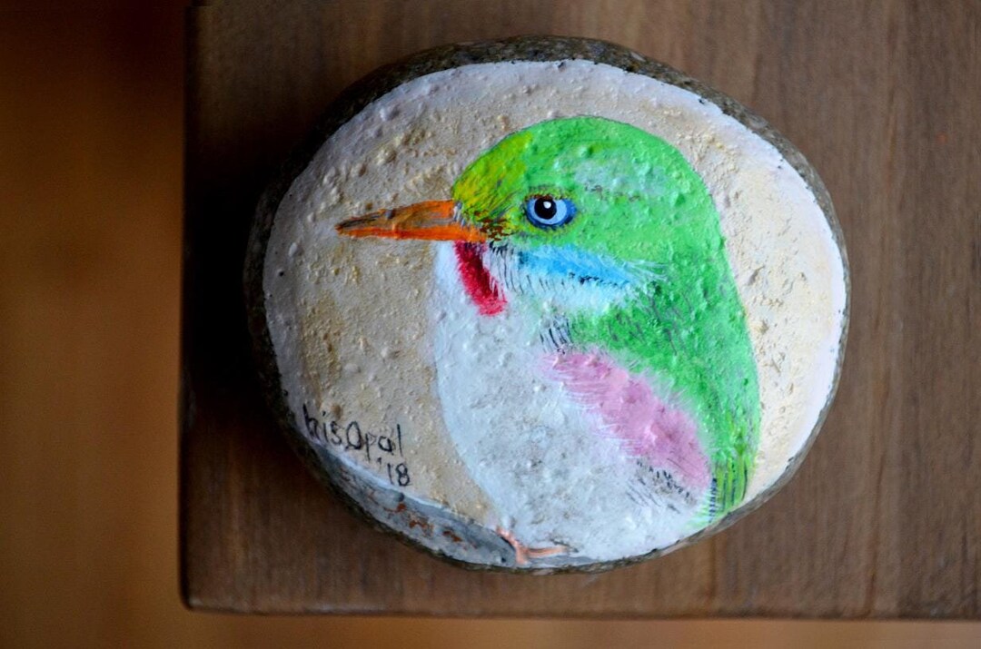 Bird Painted Rock, Hand Painted Stone, Bird Watching, Bird Art, Tody ...