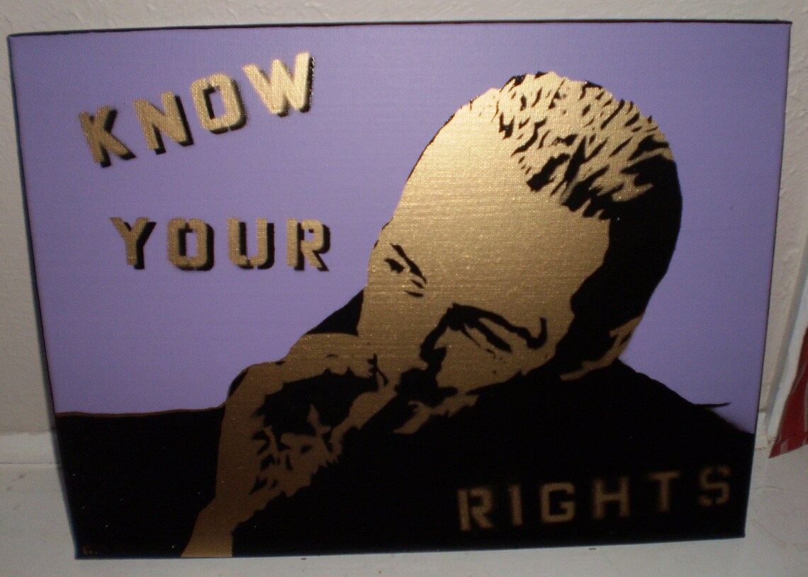 Know Your Rights joe Strummer | Etsy
