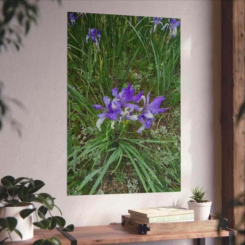 Steppe Flower - Etsy UK