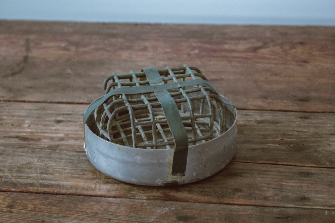 Large Floral Frog Cage - Floral Cage - Vintage Floral Cage With Base - Etsy