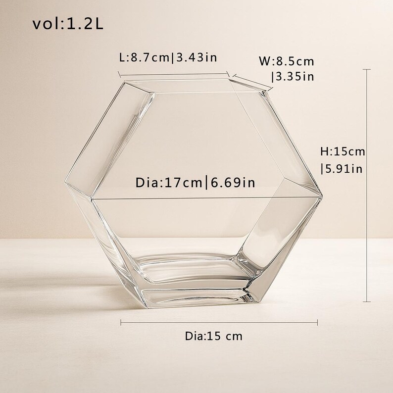 Hexagonal Glass Betta Fish Tank: Modern Mini Aquarium Decor - Etsy