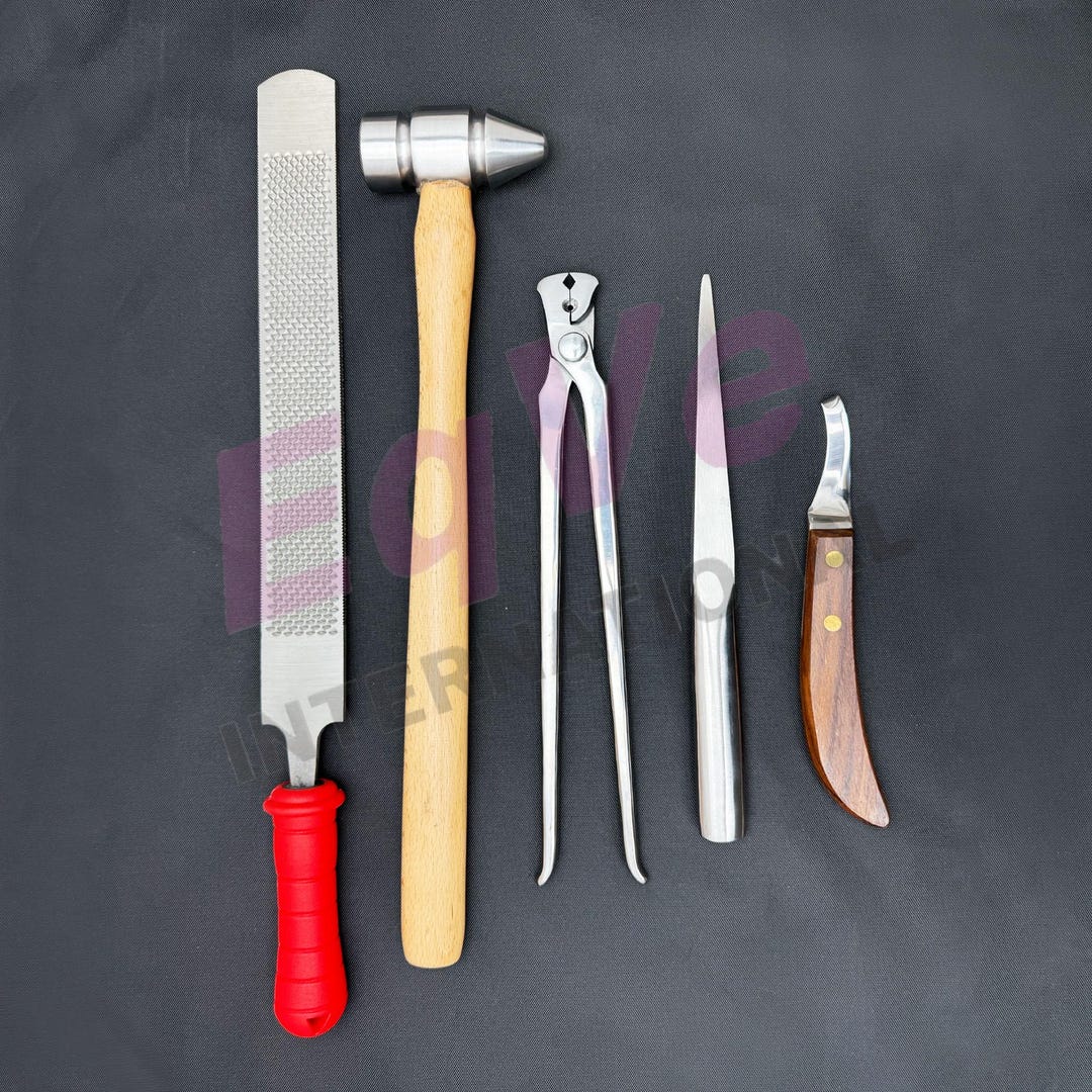 5-piece Farrier Tool Set | Hoof Rasp, Hammer, Nail Puller, Hoof Knife ...