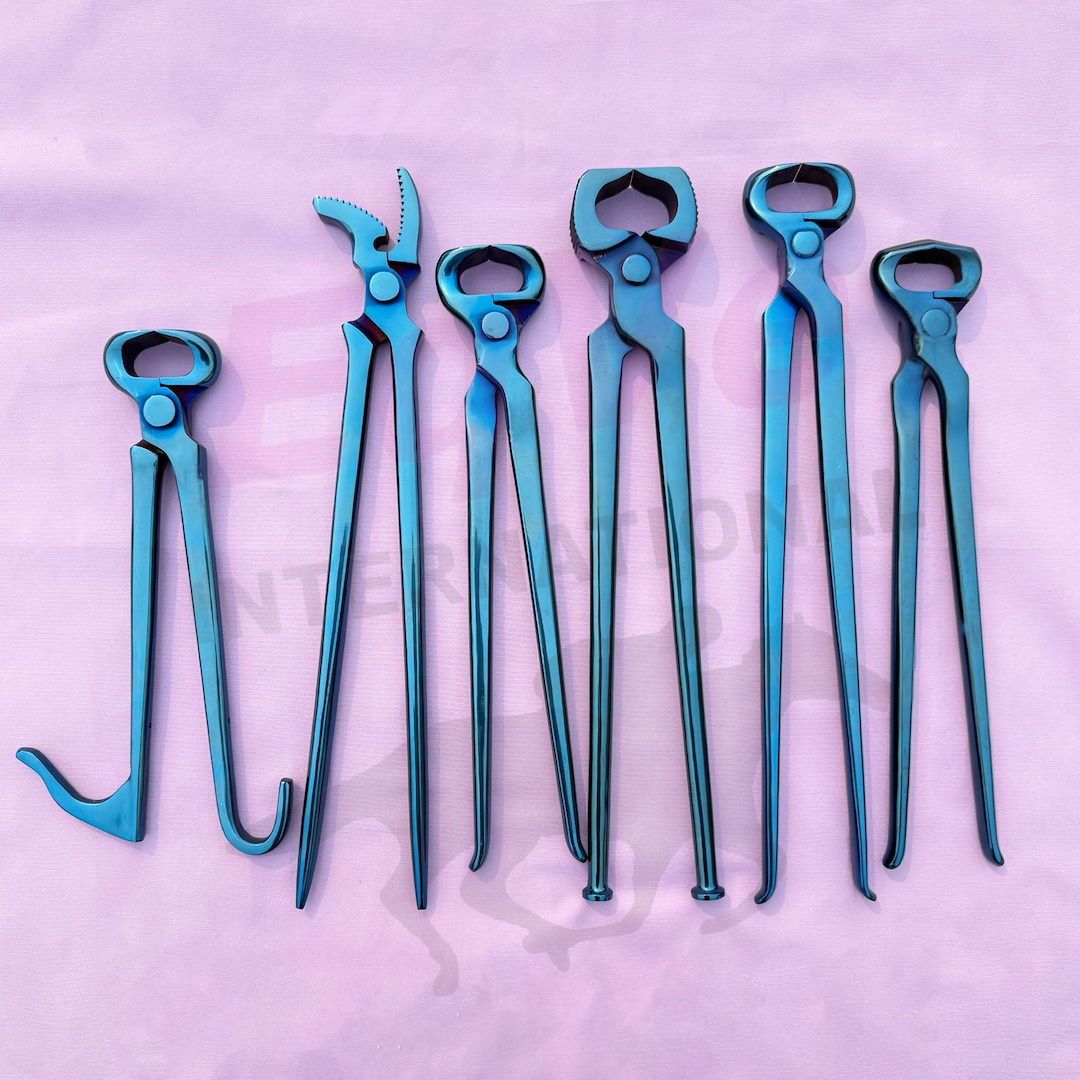 6 Pcs Blue Farrier Tool Set | Hoof Nippers, Pull Offs & Clinchers Kit ...