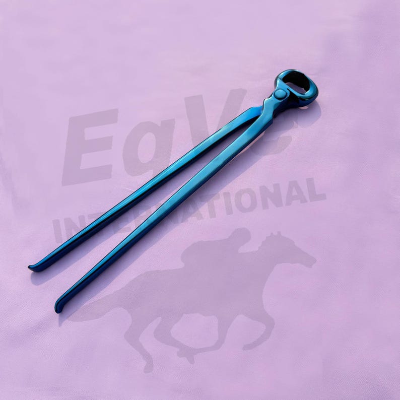 Farrier Essentials Kit | Horseshoeing Tools Set With Case | Rasp ...