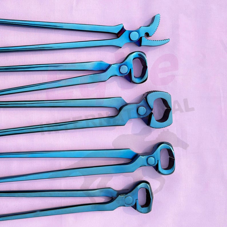6 Pcs Blue Farrier Tool Set | Hoof Nippers, Pull Offs & Clinchers Kit ...