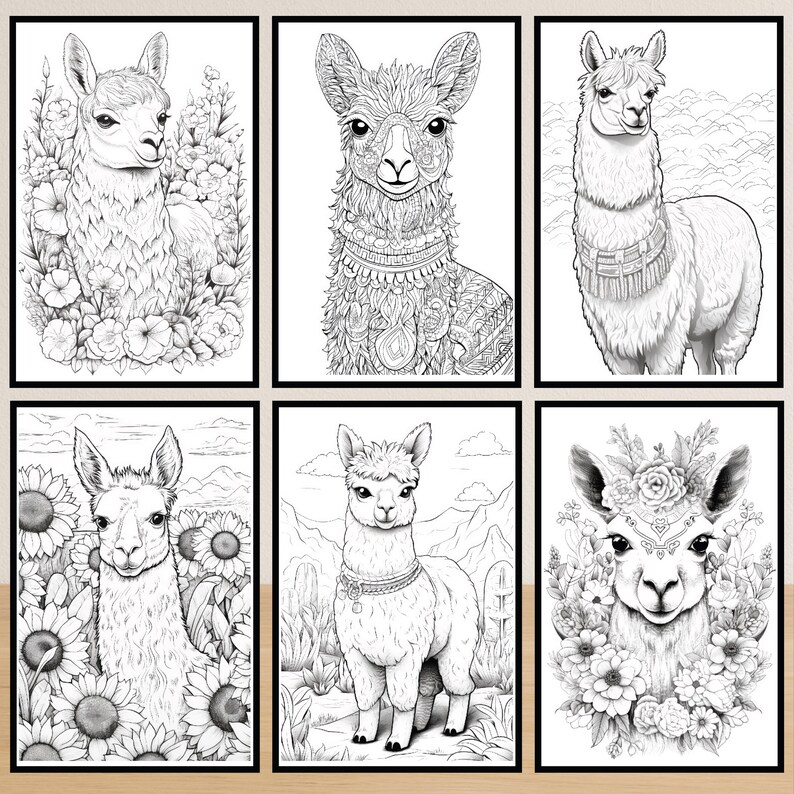 Llama Coloring Book for Adults, Animal Adult Coloring Book PDF, 50 Cute ...