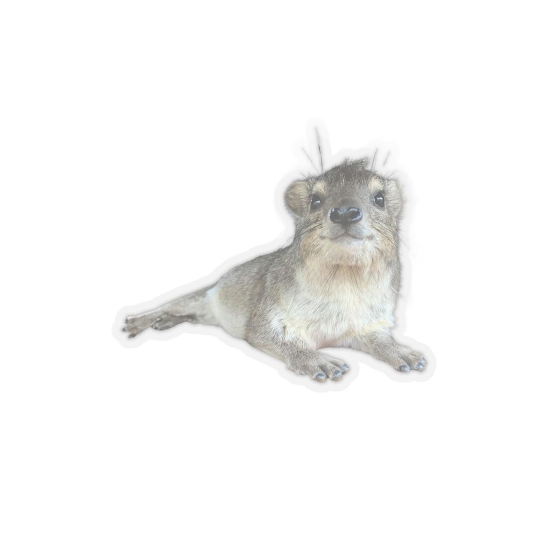 Slick the Hyrax Sticker - Etsy